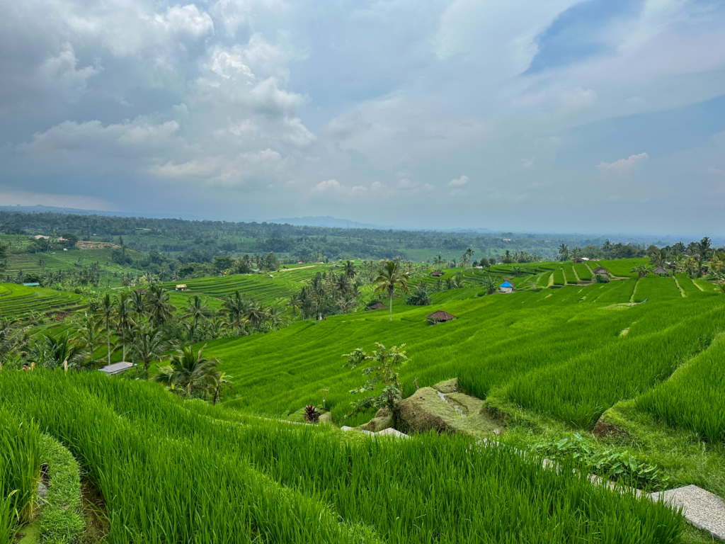 Top Things to Do in Bali: A Complete Travel Guide (2026) - Where I ...